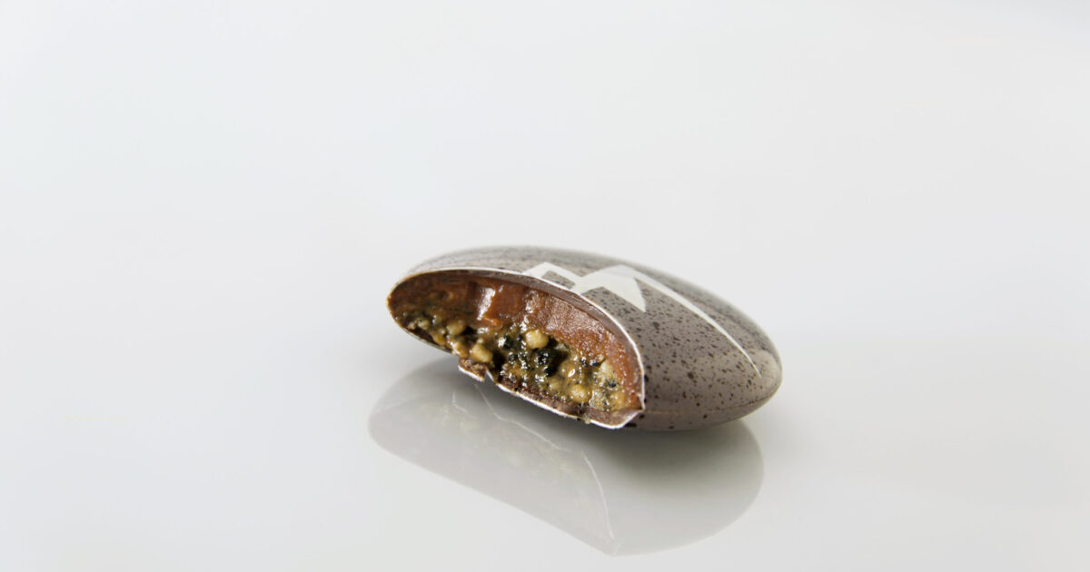 David redon wins the 3rd place of the Belgium chocolate… | Veliche