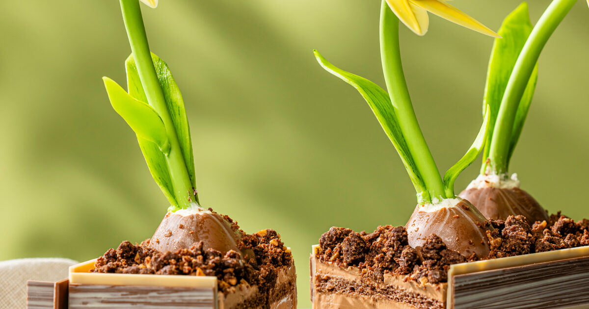 Spring flower pastry cake | Veliche