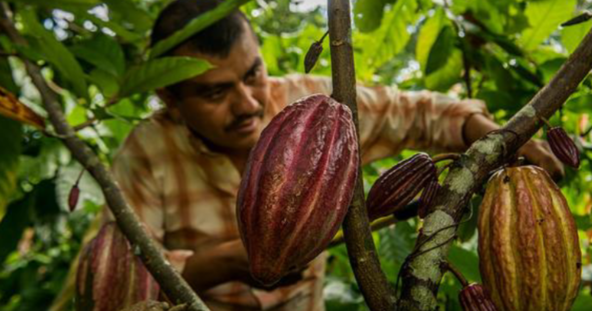 Helping you be successful with 2020’s Top Trend:… | Veliche